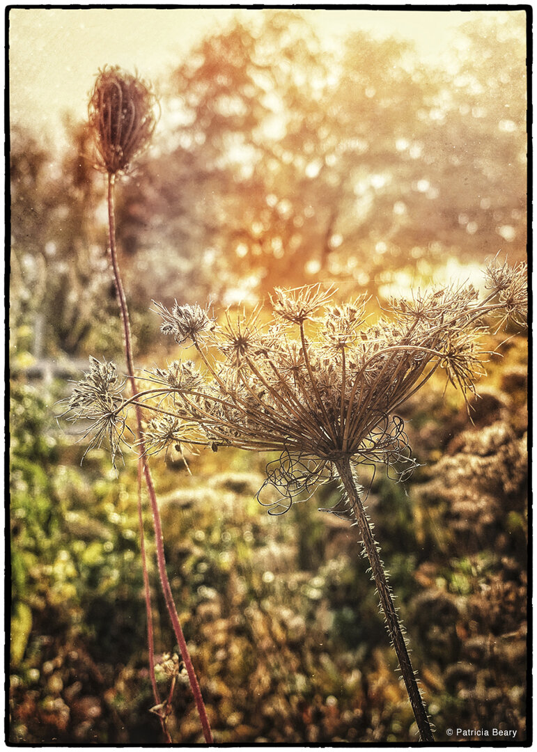 2021: Spring into CollectingAlex Ferrone Gallery