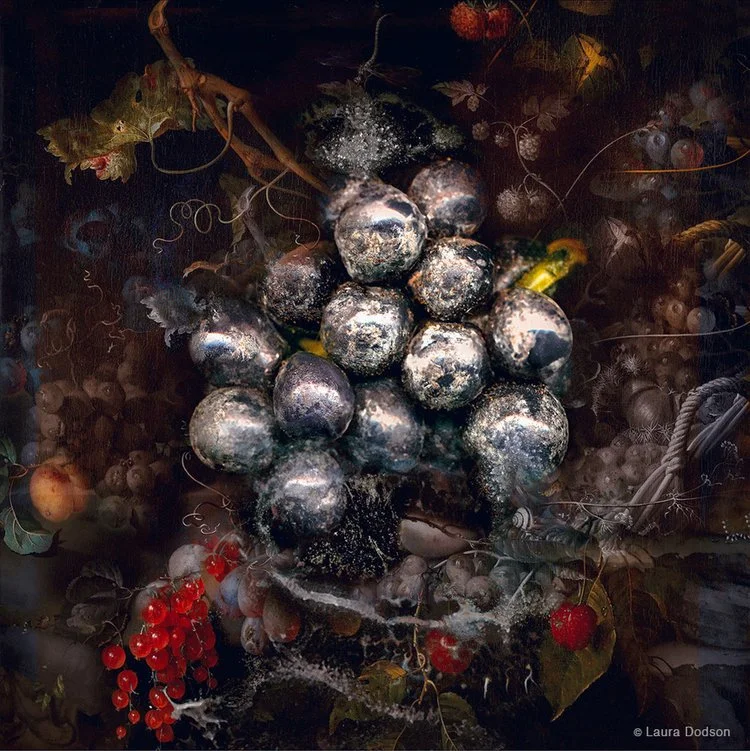 Laura DodsonAlex Ferrone Gallery