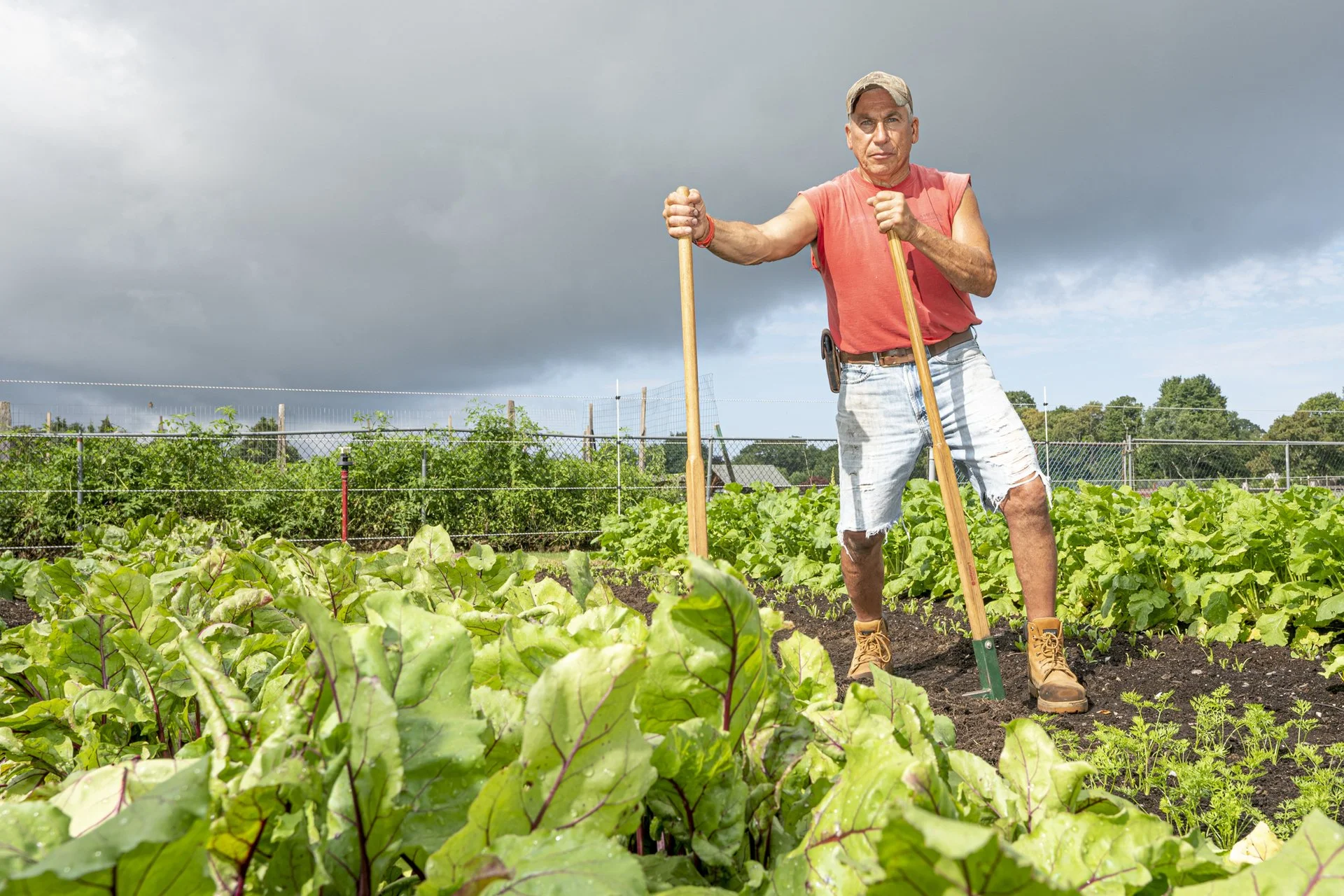Randee Daddona, Naked FarmFarmsAlex Ferrone Gallery