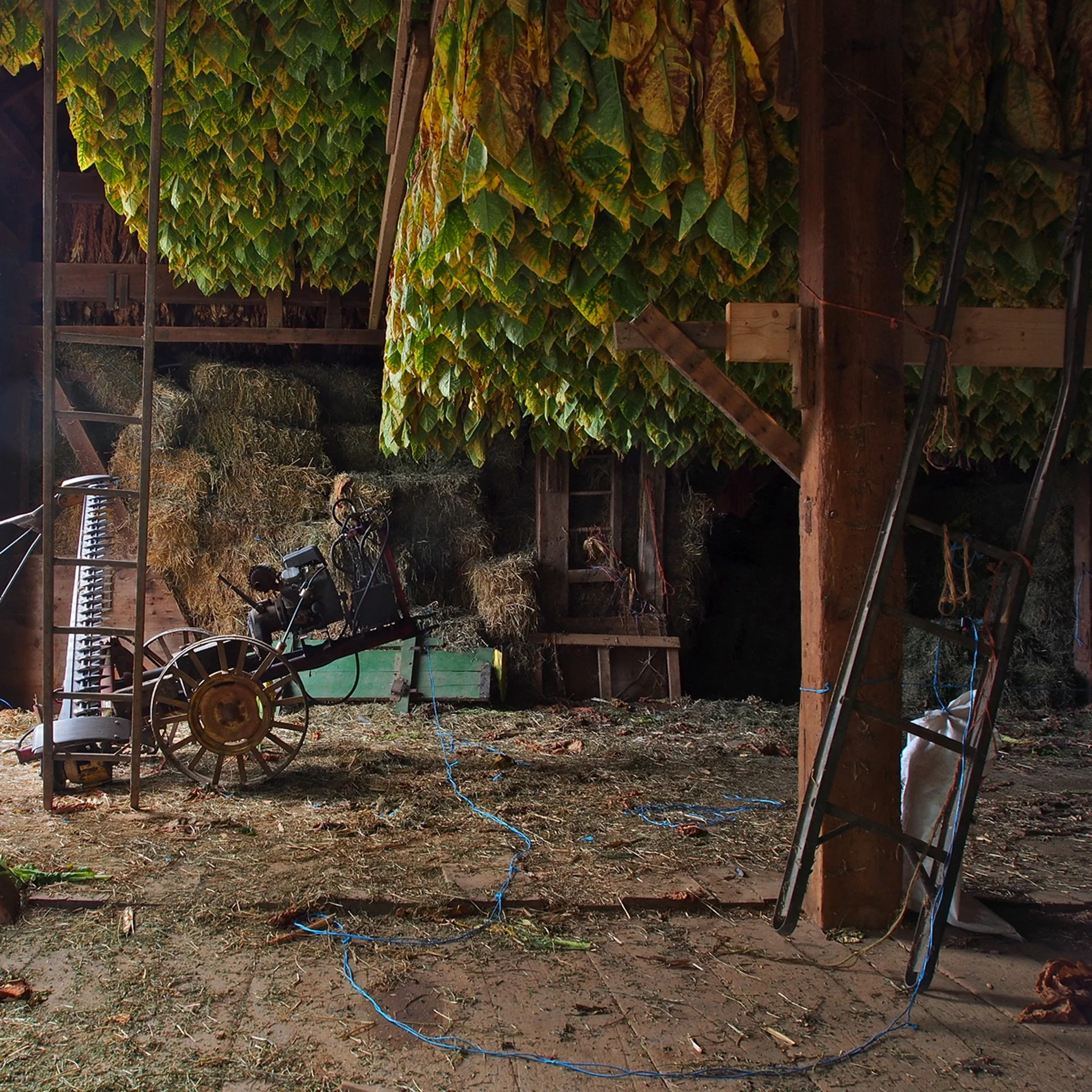 Peter Handler, Amish Tobacco farmFarms 2Alex Ferrone Gallery