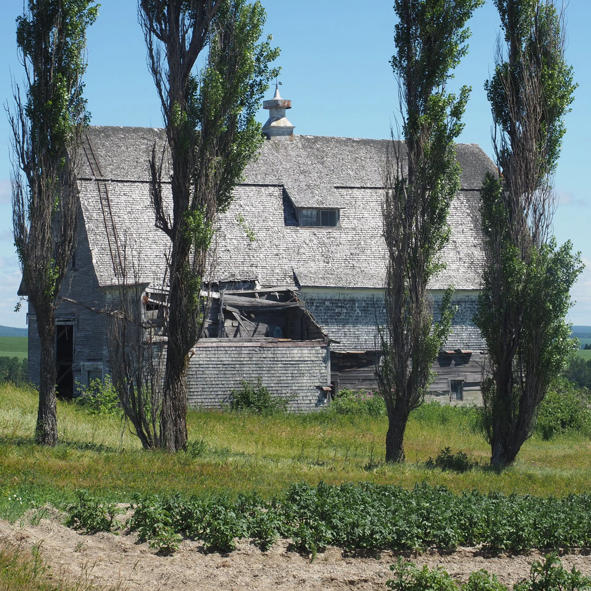 Peter Handler, Maine BarnFarms 2Alex Ferrone Gallery