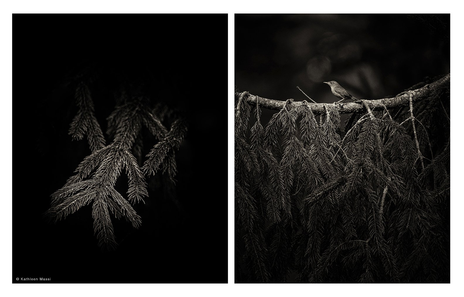 Unframed Exhibition 2024Alex Ferrone Gallery