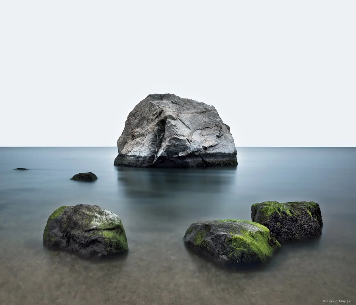 Tidal Perspectives: Patricia Beary, John Cino, David Magee, Han QinAlex ...