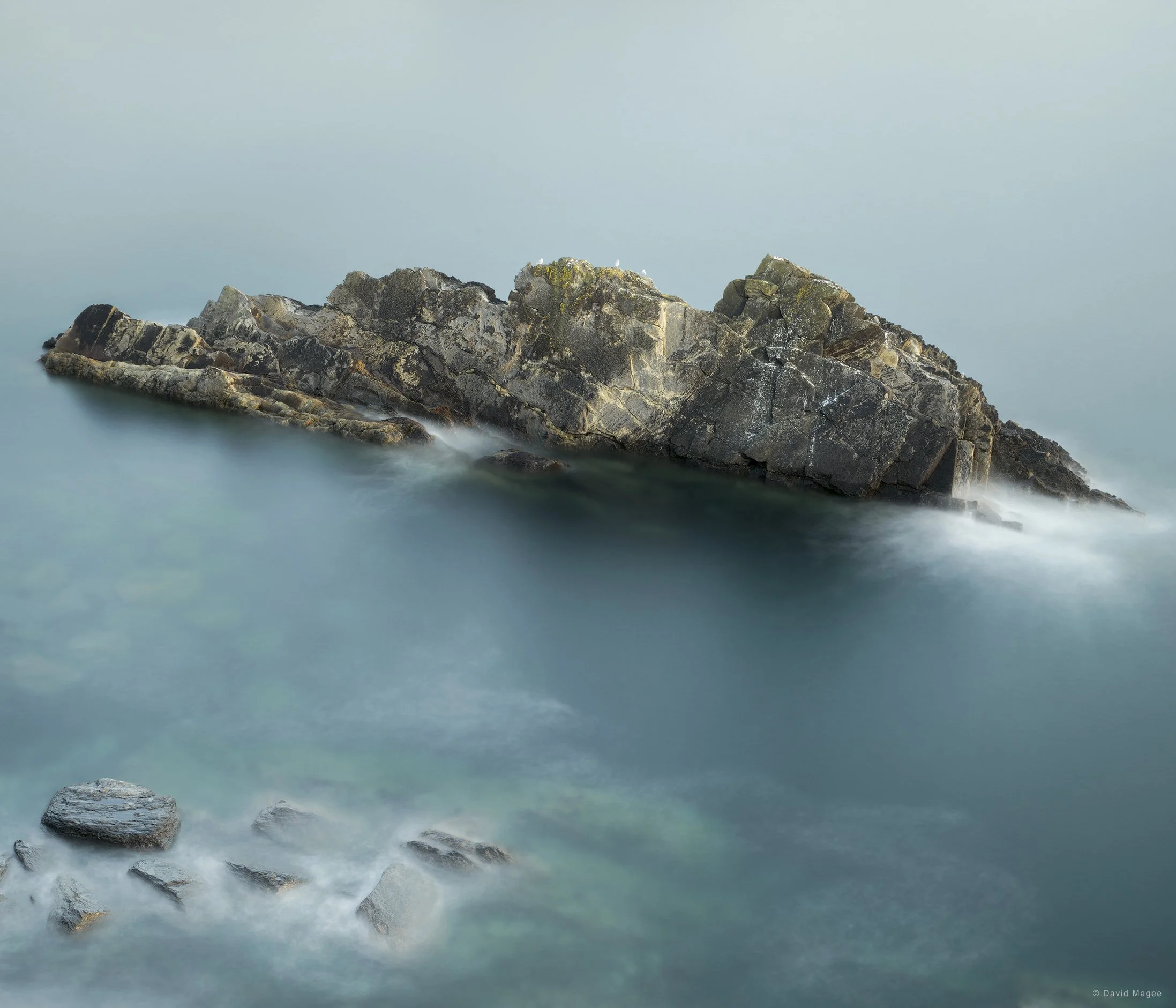 Tidal Perspectives: Patricia Beary, John Cino, David Magee, Han QinAlex ...