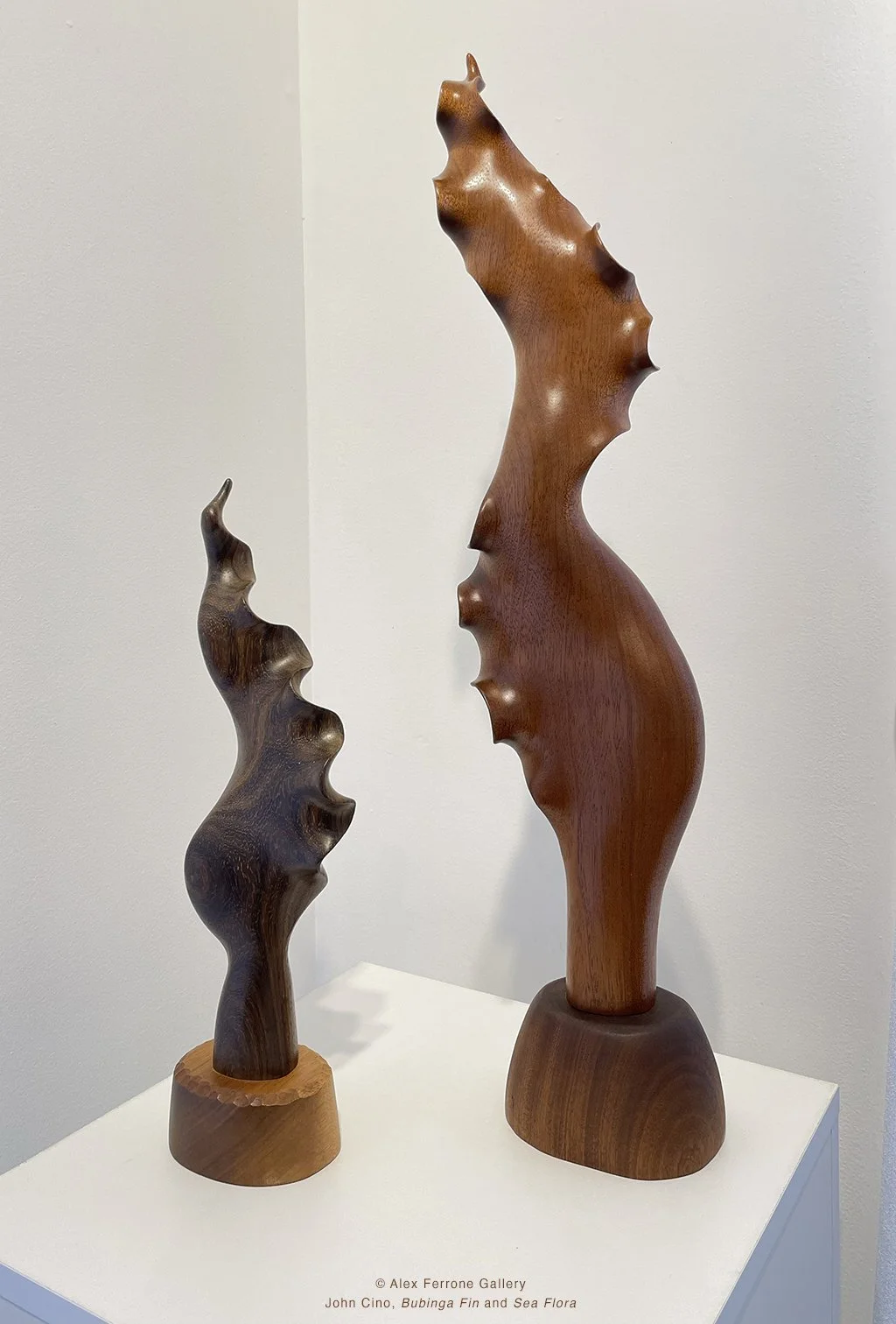 Tidal Perspectives: Patricia Beary, John Cino, David Magee, Han QinAlex ...