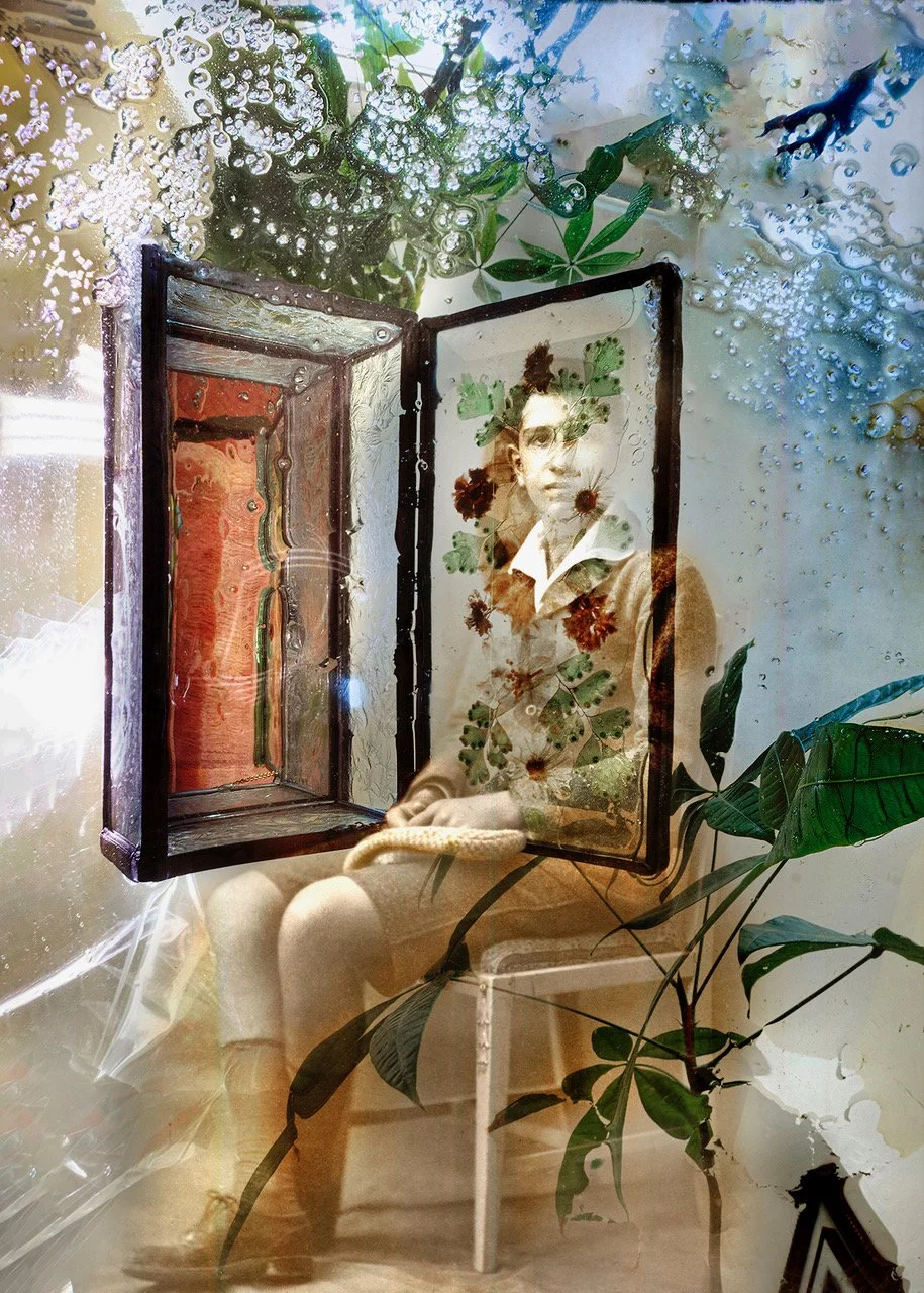 Laura Dodson, Glass DoorWindows1Alex Ferrone Gallery