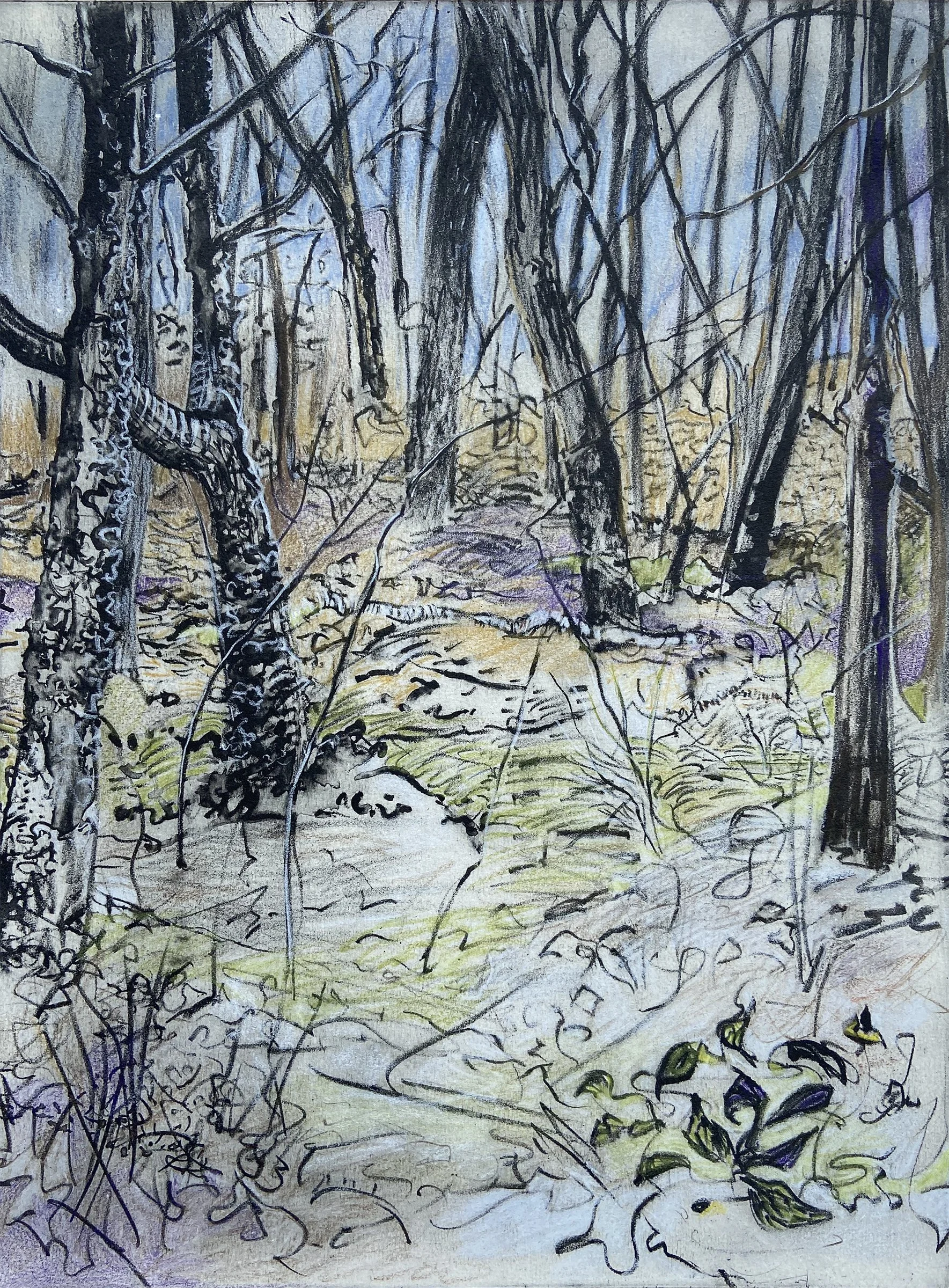 2025: Arborescent IIIAlex Ferrone Gallery