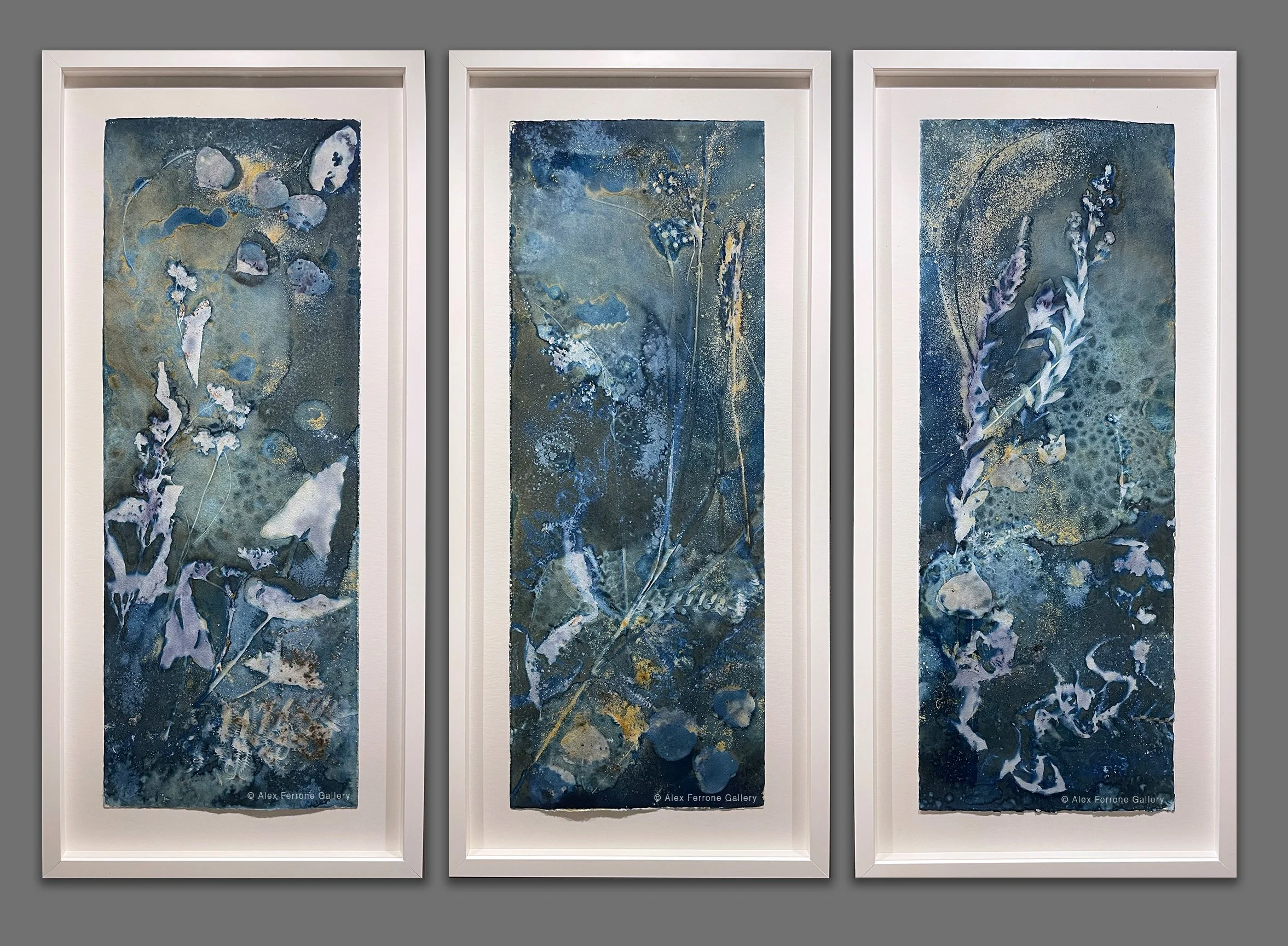 Back RoomsAlex Ferrone Gallery