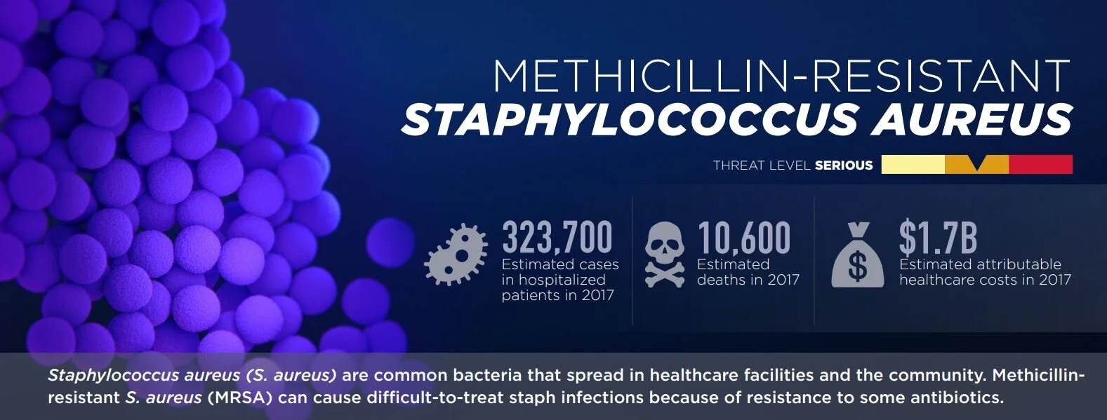 Just A Bump — Small World Initiative