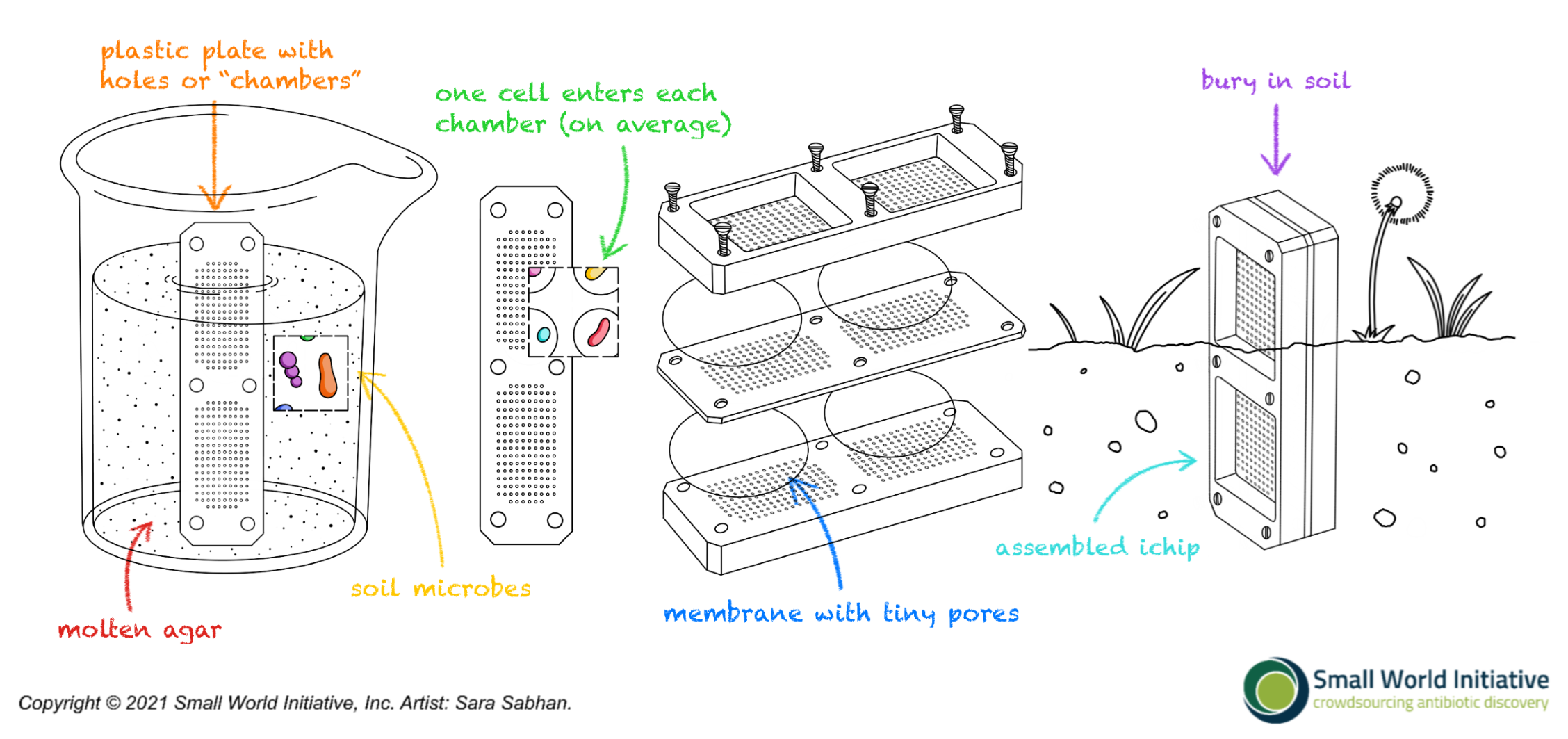 Press Release: NASA Selects UNHM Team Cooke ichip Experiment — Small ...