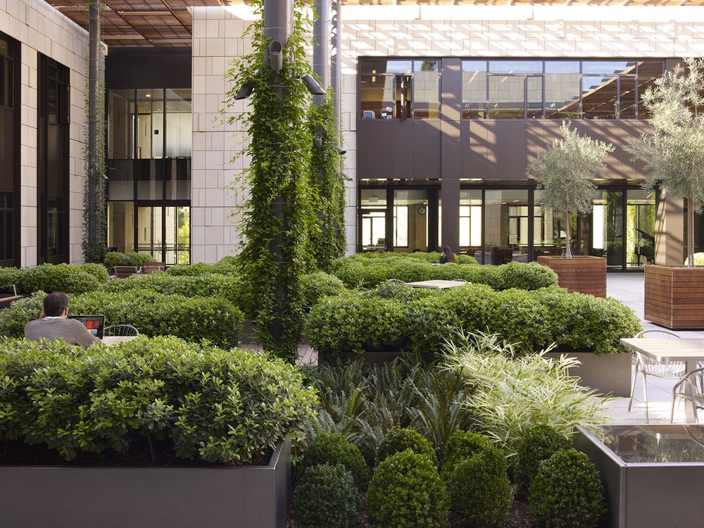 Stanford Law School Campus