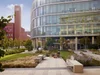 UCSF Mission Bay — Atelier|CB