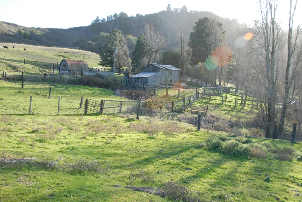 Peninsula Open Space Trust — Atelier|CB
