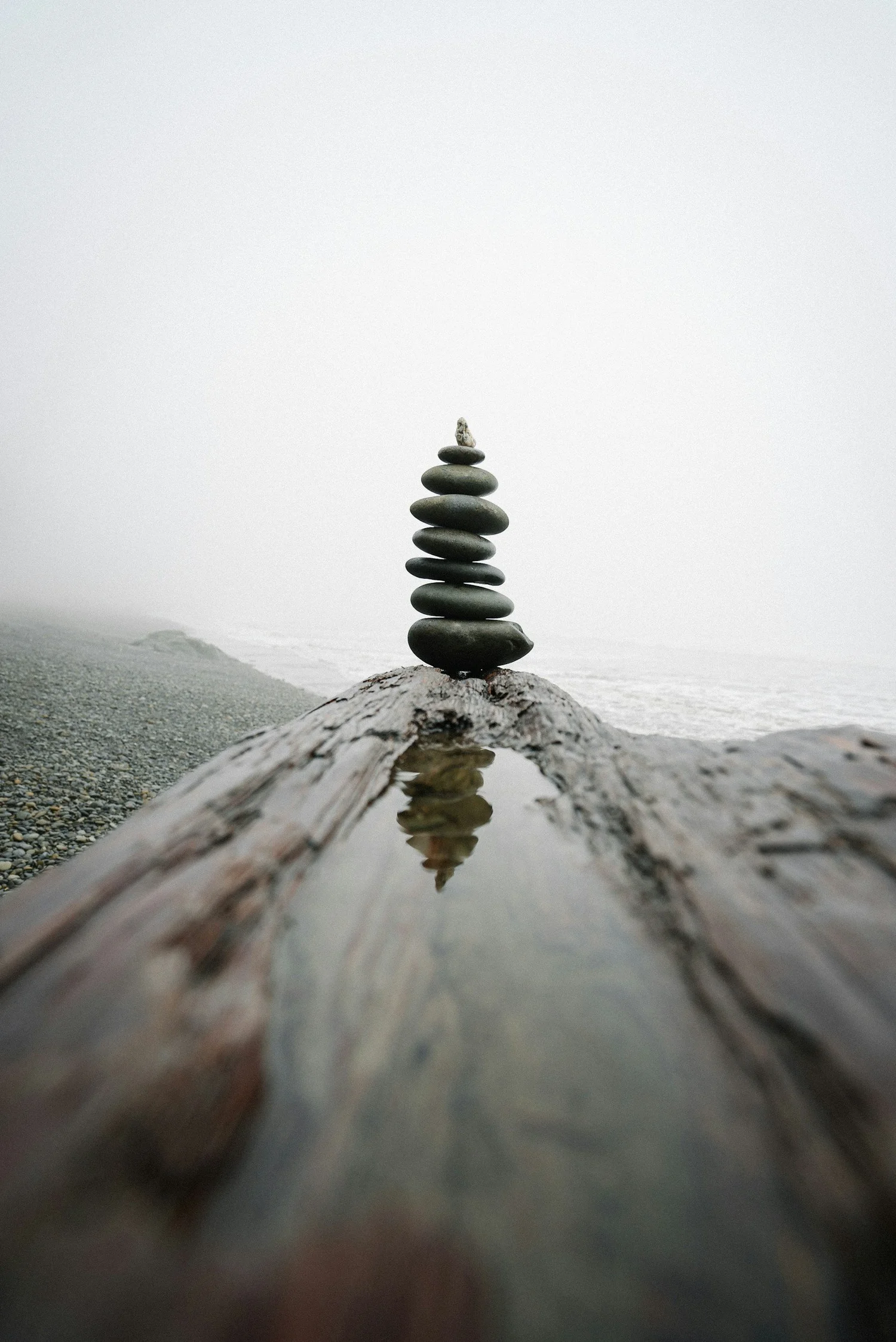 Understanding the Dual Process Model of Grief | Evolve In Nature