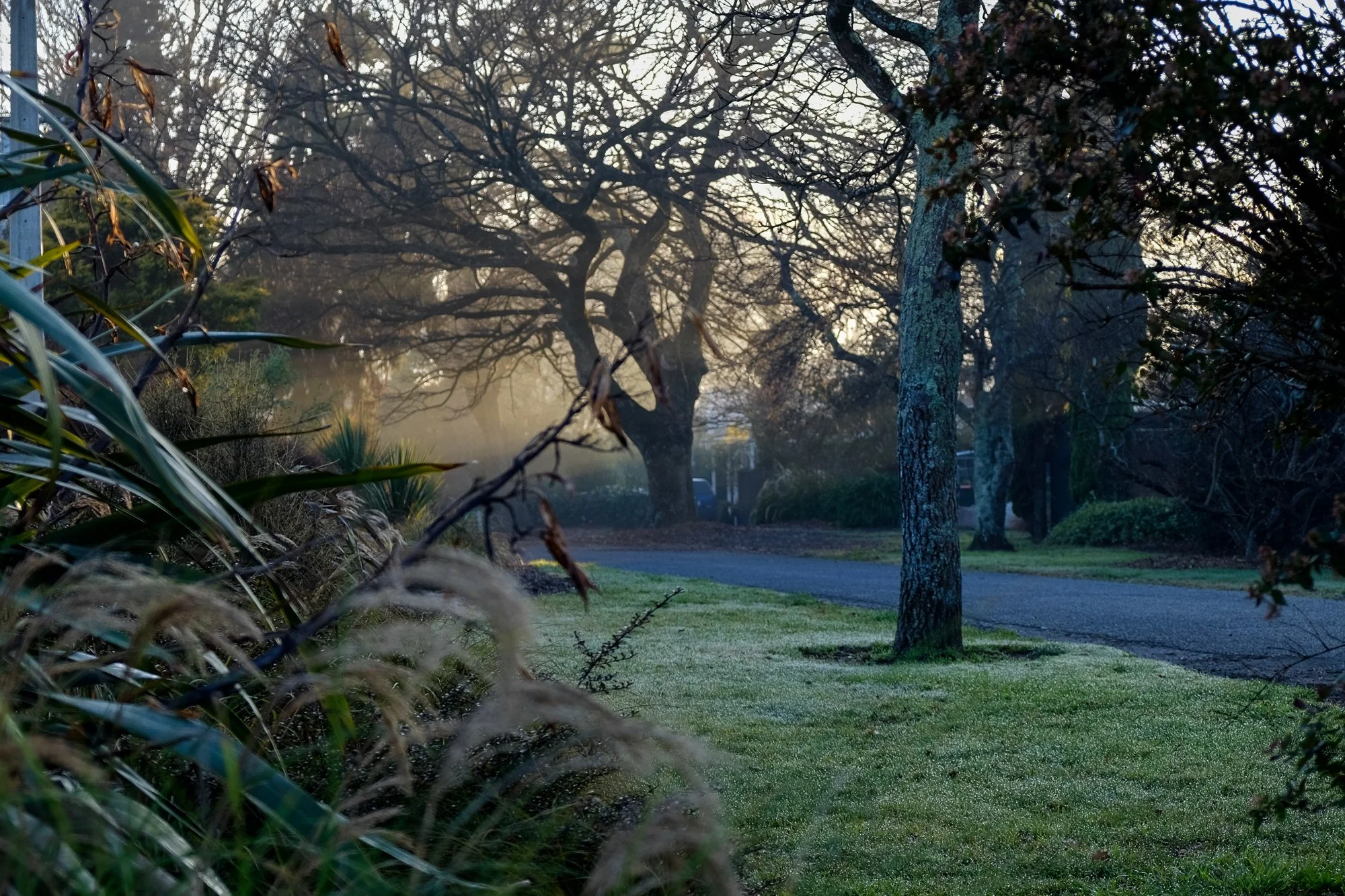 Quiet Places — Wendy Brandon