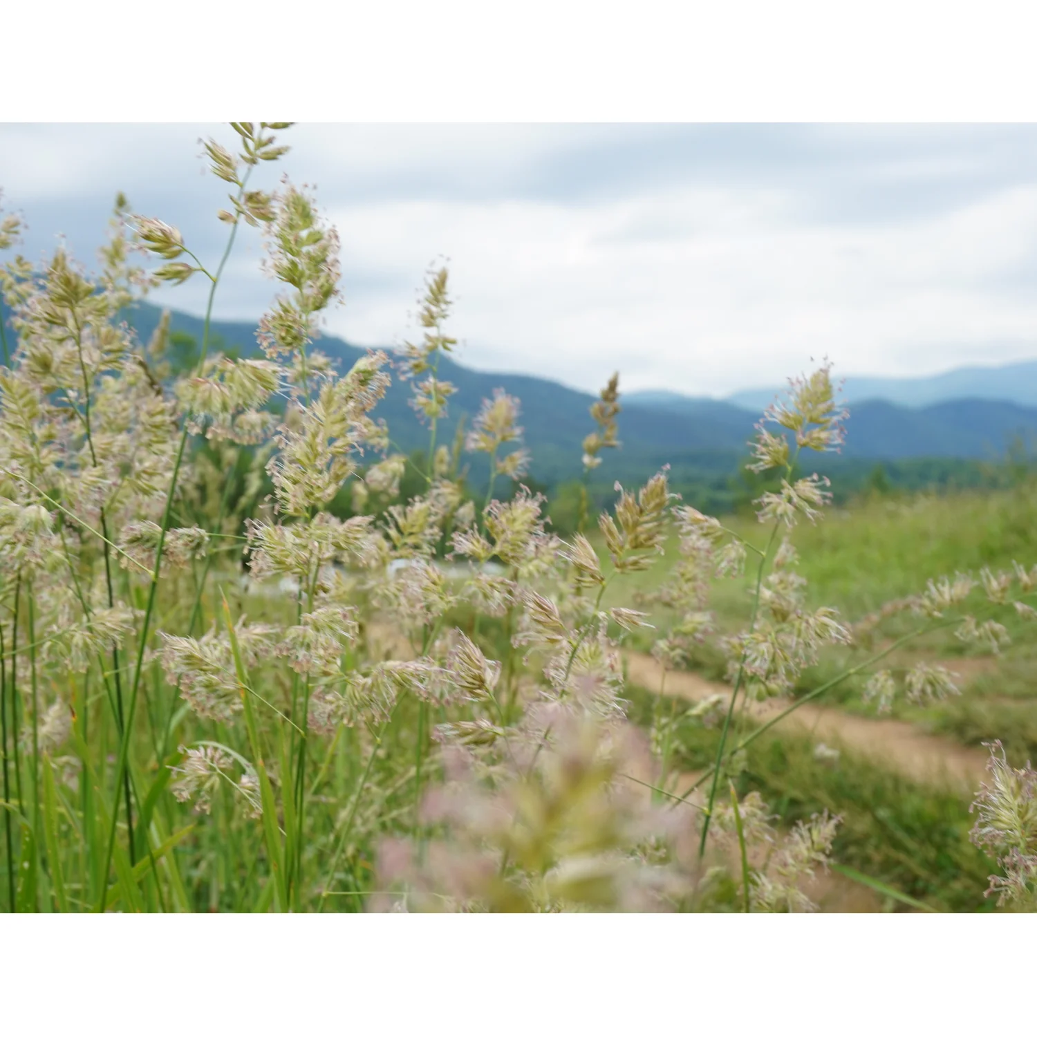 About — Little House Studio