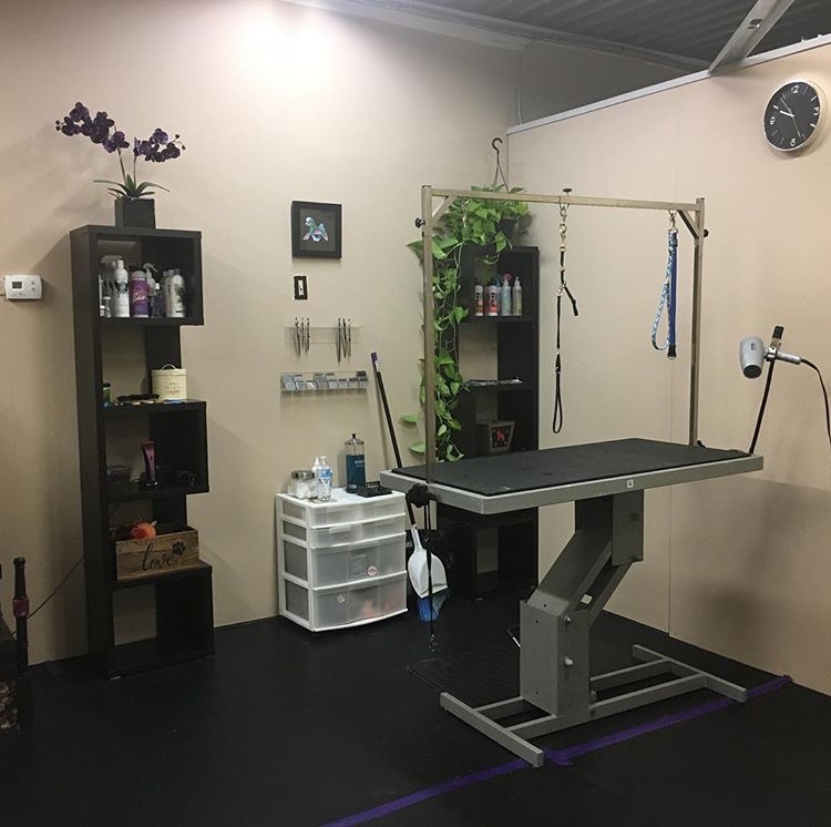 The Touch Spa — Touch Animal Rehabilitation