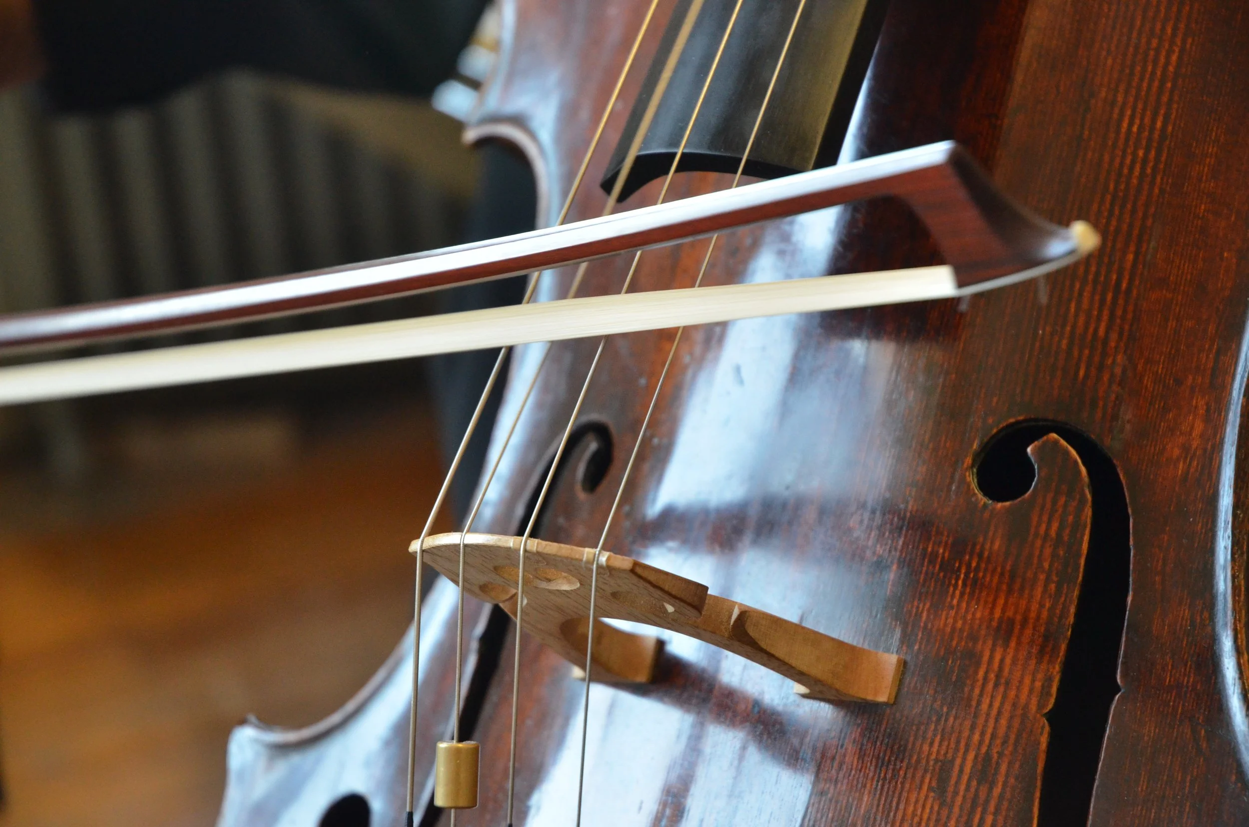 Concerts — Amit Peled