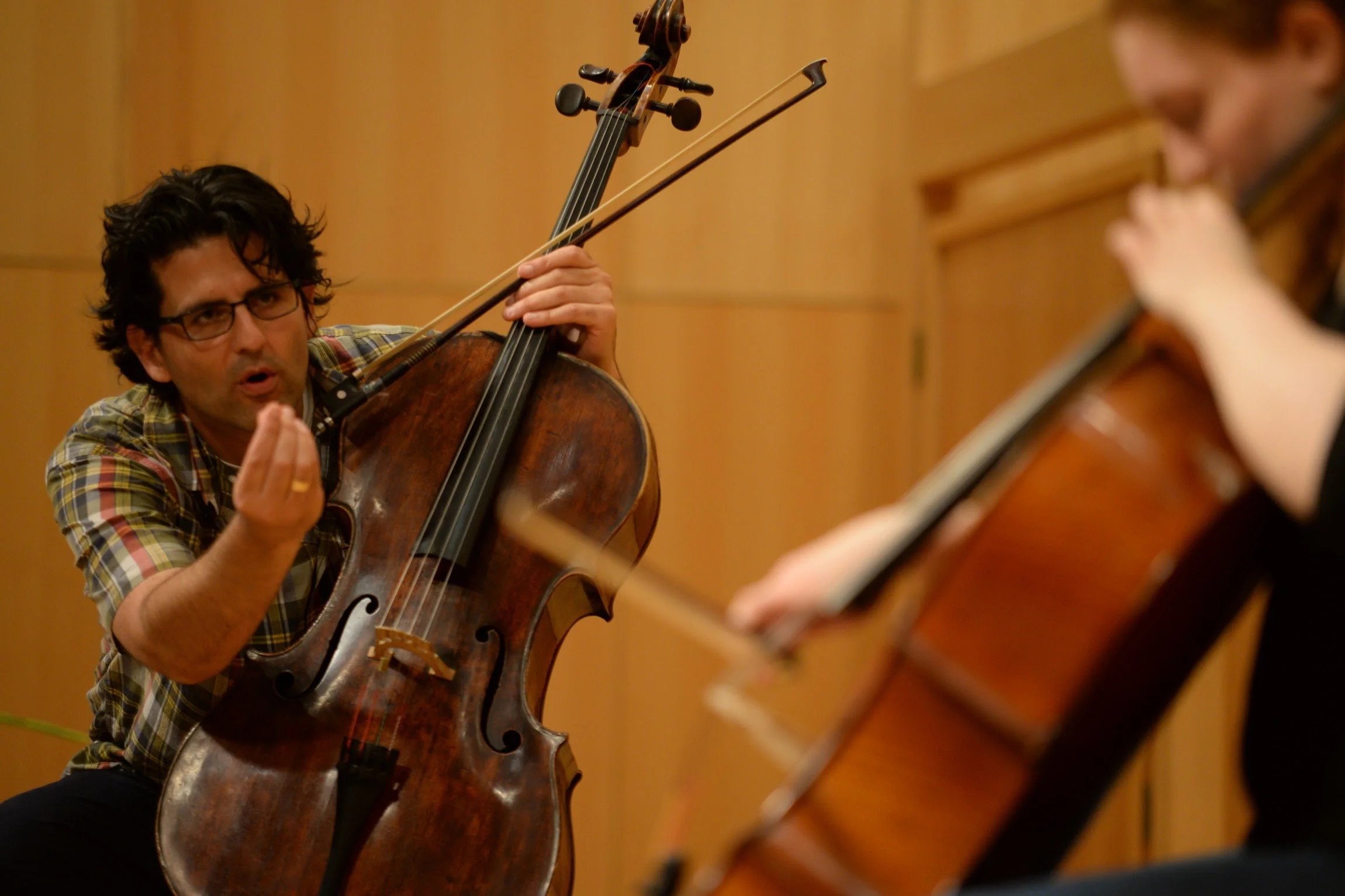 Concerts — Amit Peled