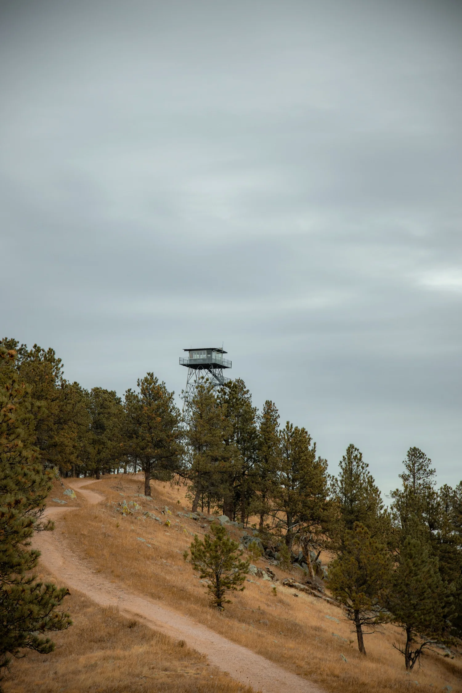 Services 1 — Stillwater Summit Co.