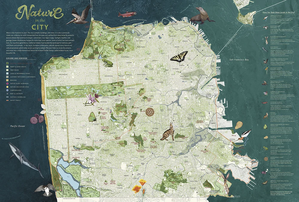 Nature in the City Map — Nature in the City