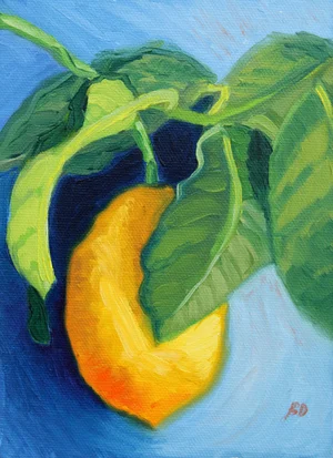 Beth Dougherty