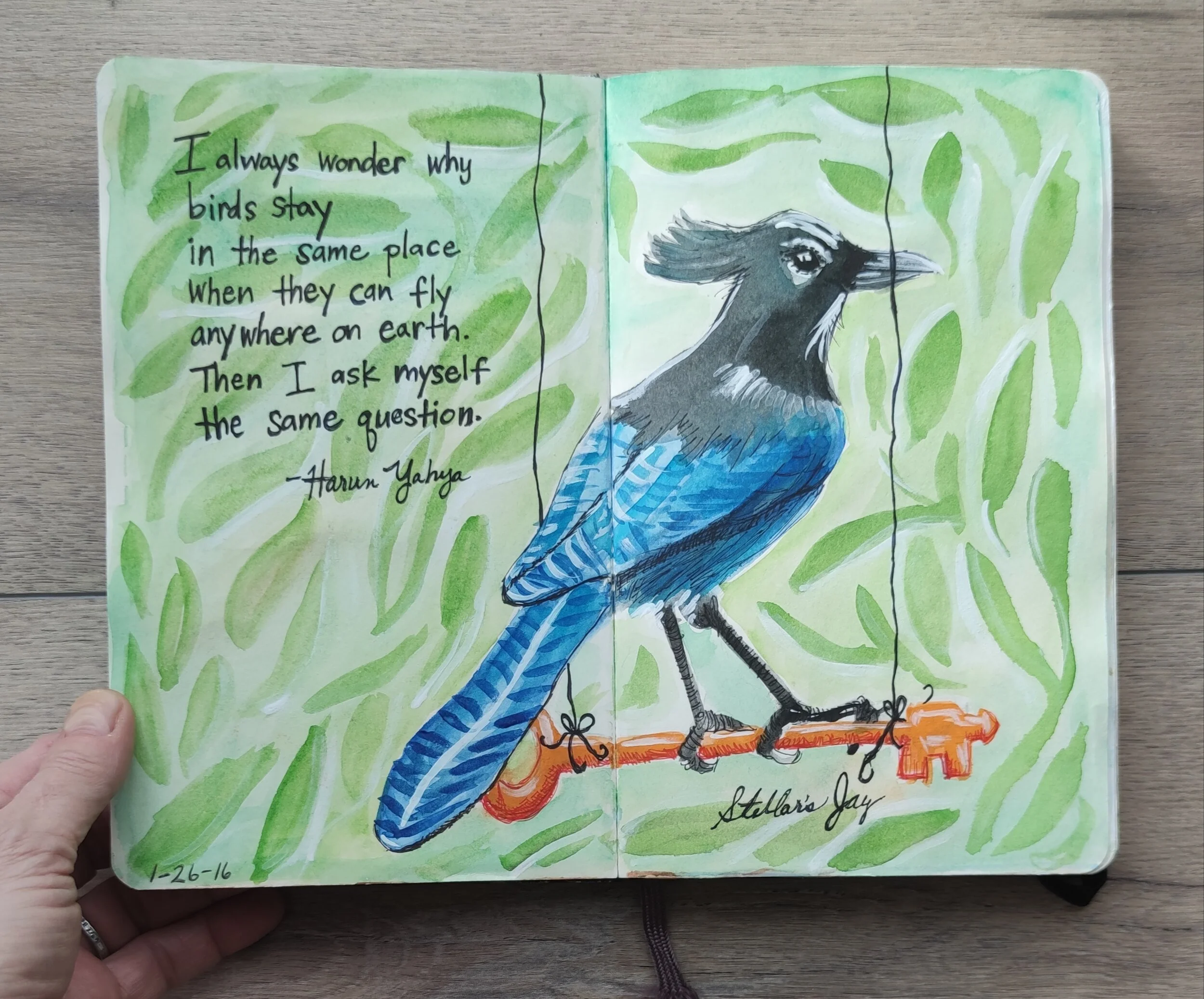 Beth Dougherty — Beth Dougherty