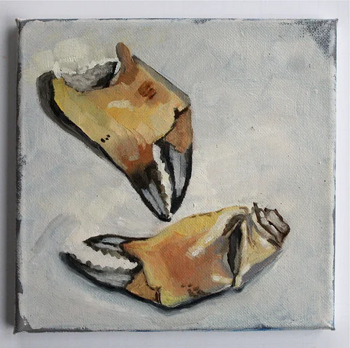 Beth Dougherty