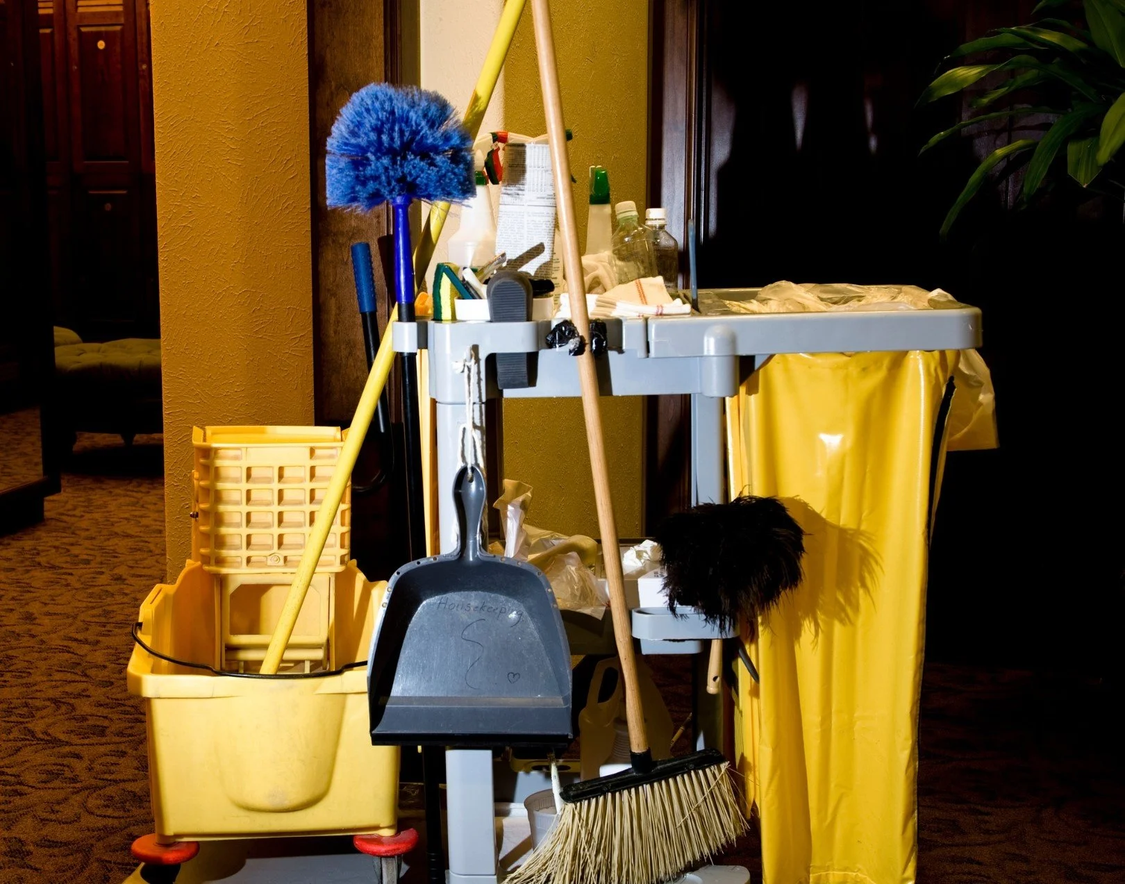 Ergonomics in Hotel Housekeeping: Protecting the Body, Preventing ...