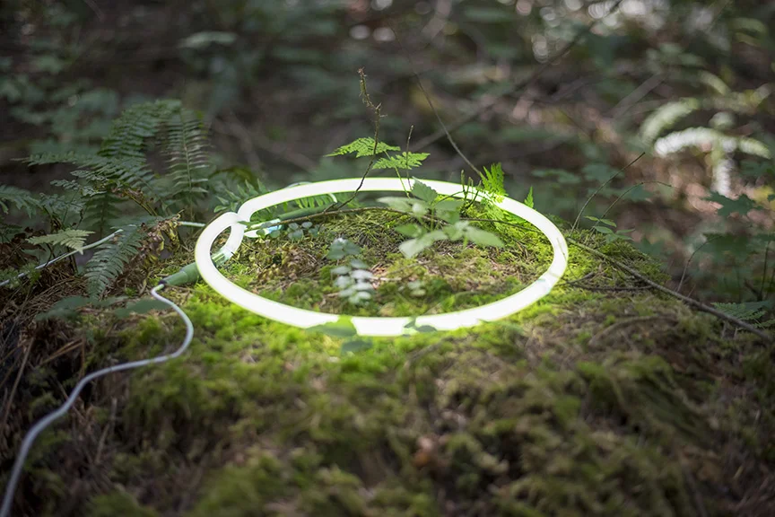 Neon in the Wild — JAMESAKERS.NET