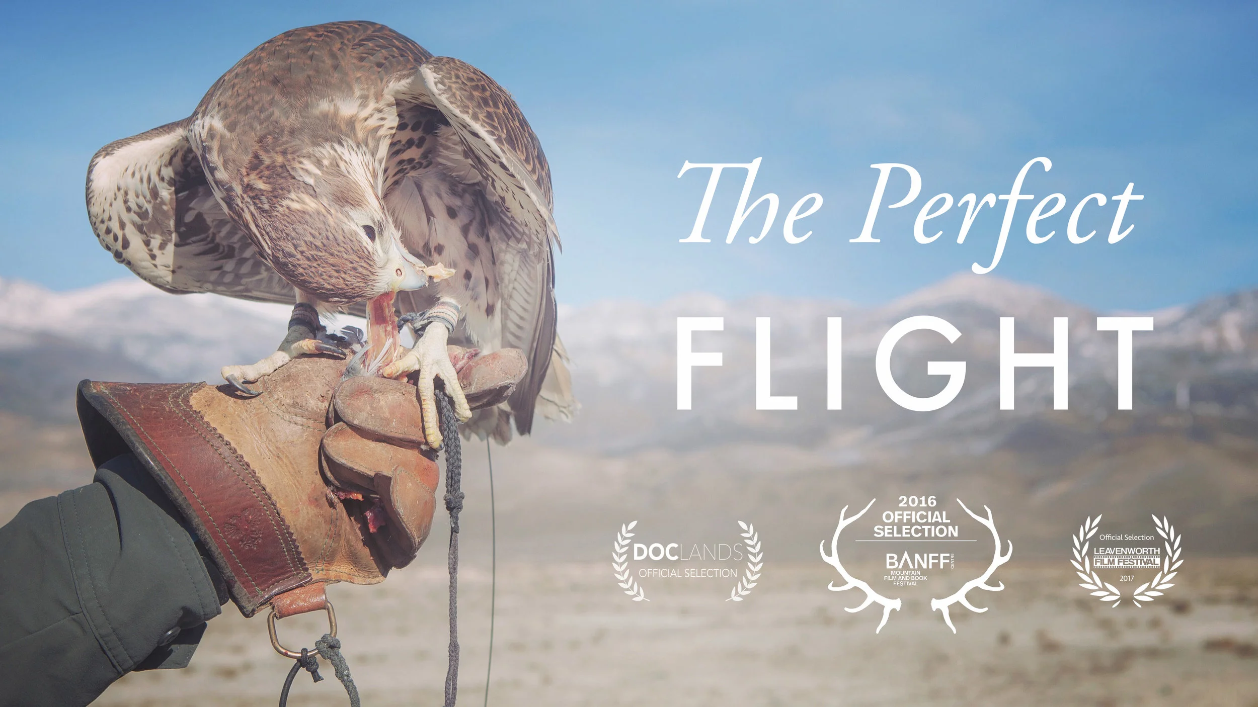 News — Speculative Films