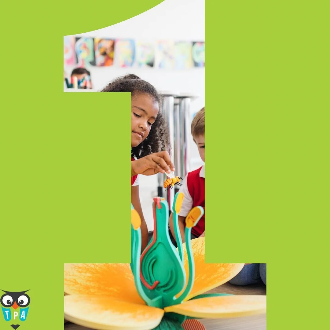 The Preparatory Academy