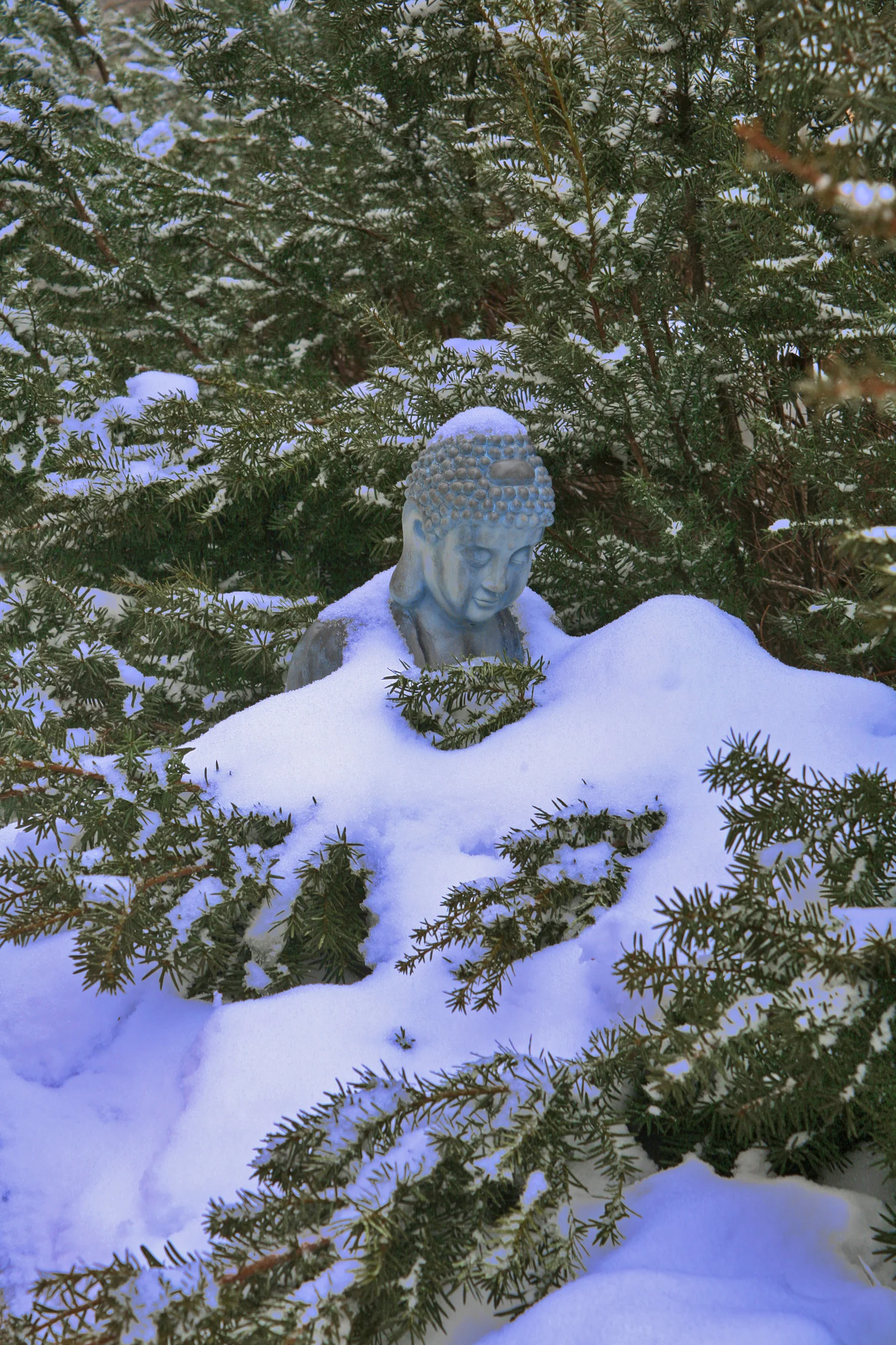 PHOTOGRAPHY — Christopher Kufner - Artist