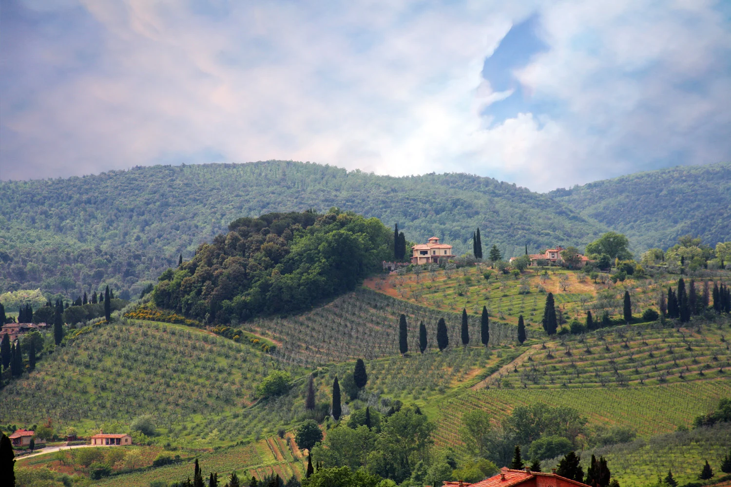 PHOTOGRAPHY — Christopher Kufner - Artist