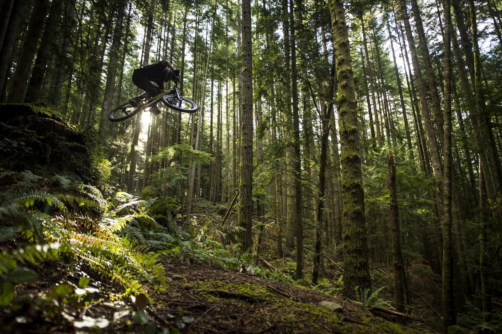 Trek C3 Project Summer Video Series ft. Ryan Howard - Spoke Magazine