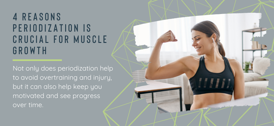 4 Reasons Periodization is Crucial for Muscle Growth | Ebylife ...