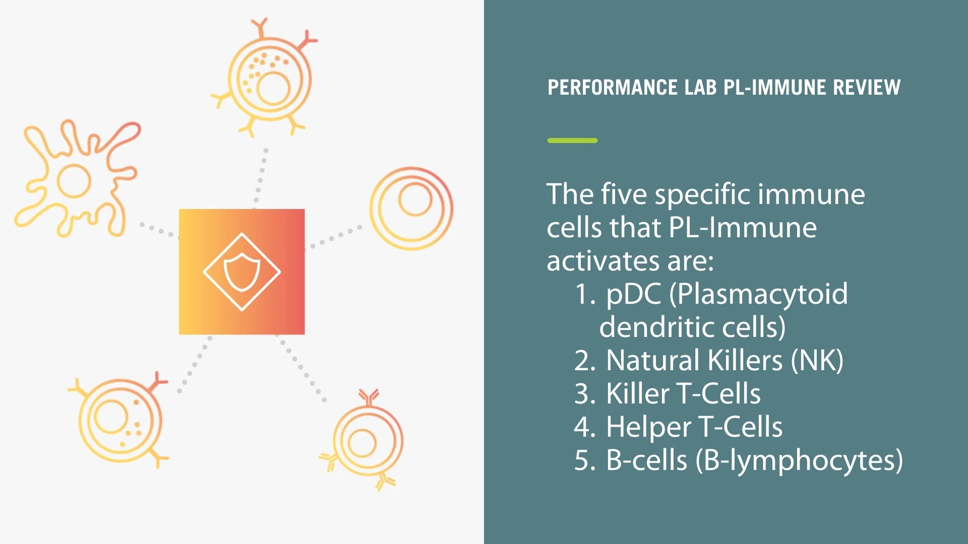 Performance Lab PL-Immune Review: Give your immune system a boost ...