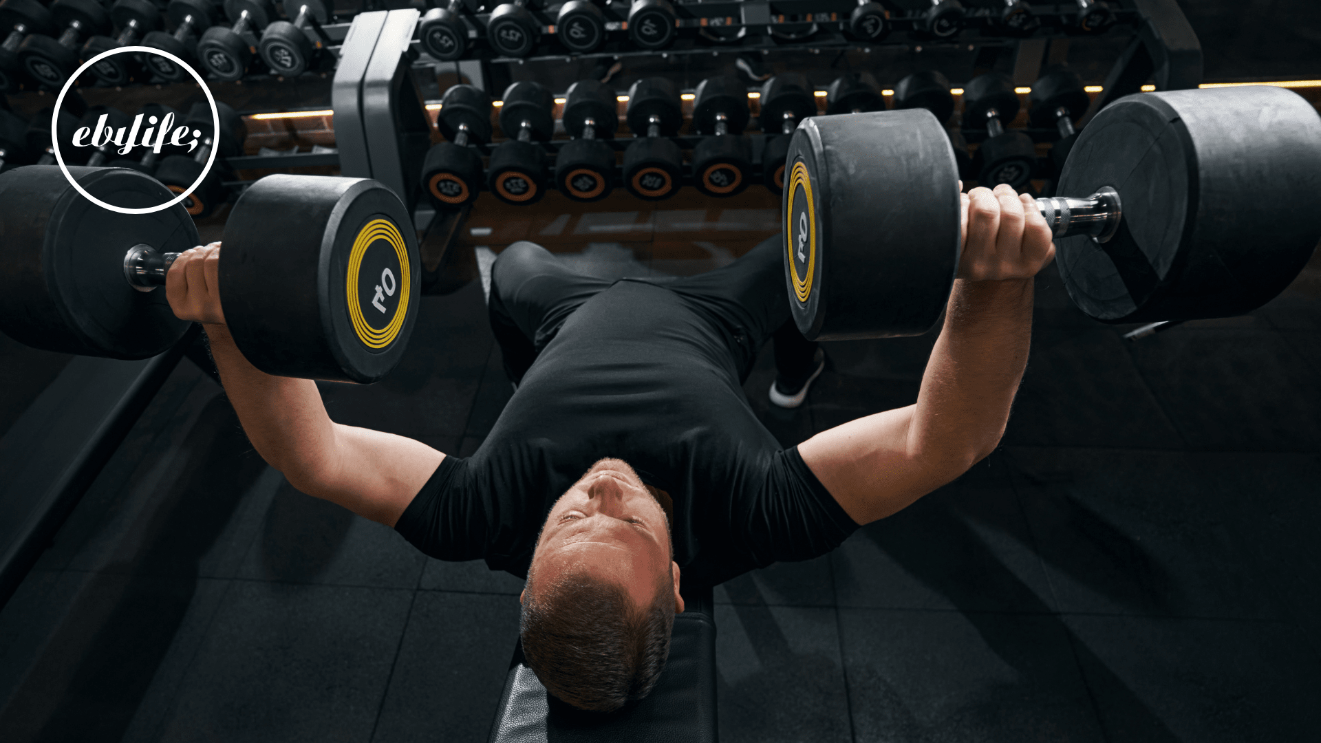 4 Reasons Periodization is Crucial for Muscle Growth | Ebylife ...