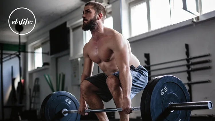 Lean Bulking for the Endomorph: More Muscle, Less Fat | Ebylife ...