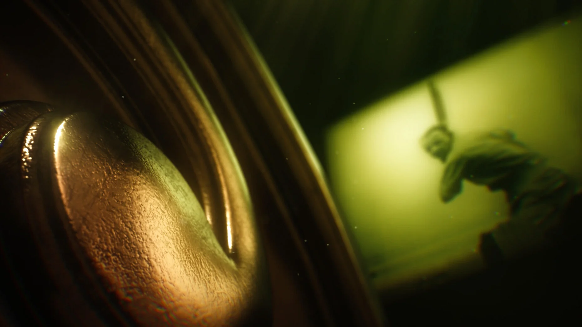 Pixeloco - We create fans