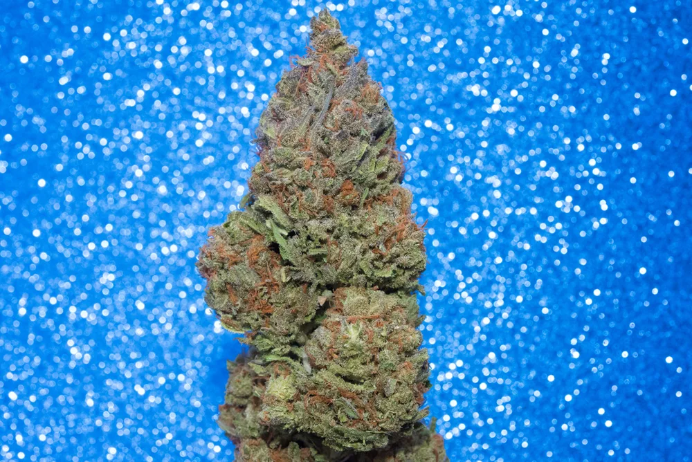 Lazy Bee's Best Strains for Fourth of July — Lazy Bee Gardens