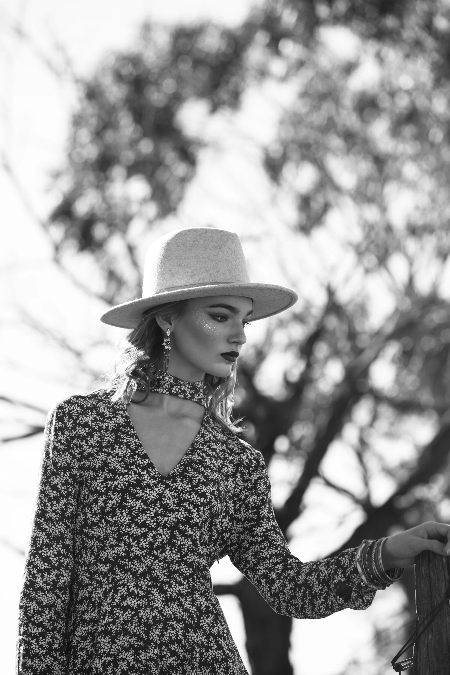 WILD LILY — Fallon Jane