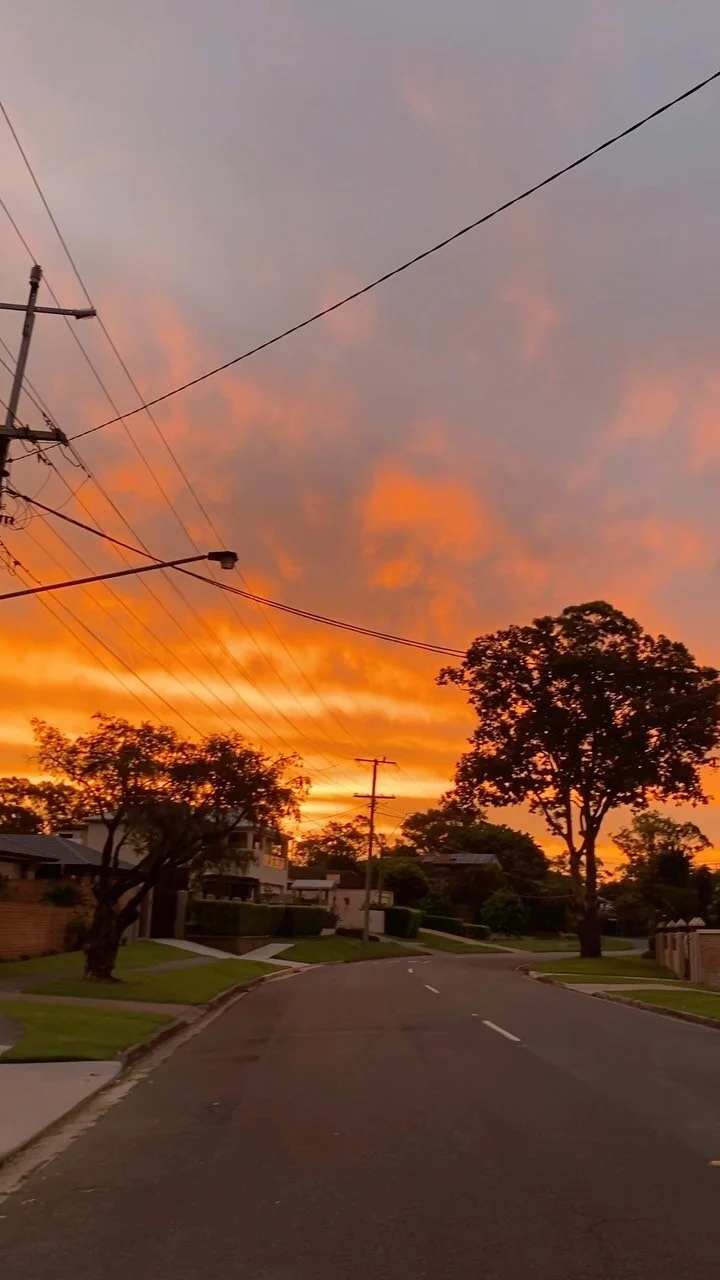 Peyote Jay — Fallon Jane