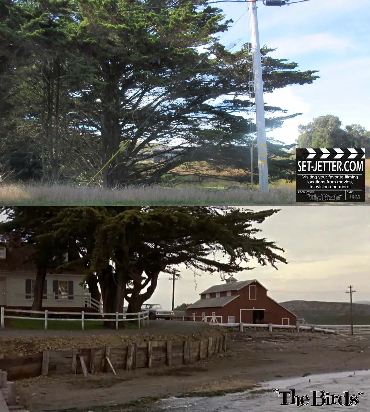 The Birds (1963) — Set-Jetter