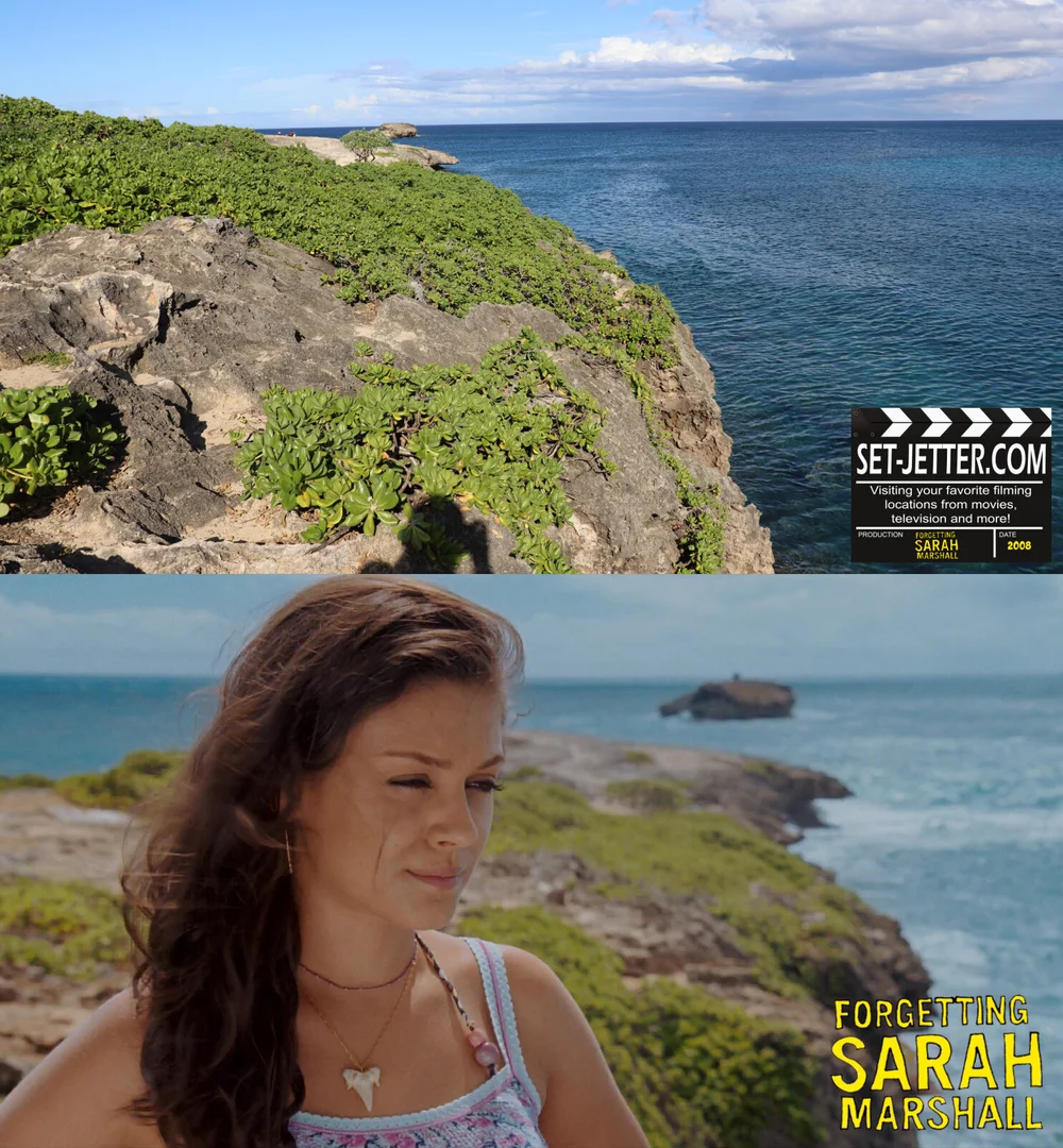 Forgetting Sarah Marshall Tumblr