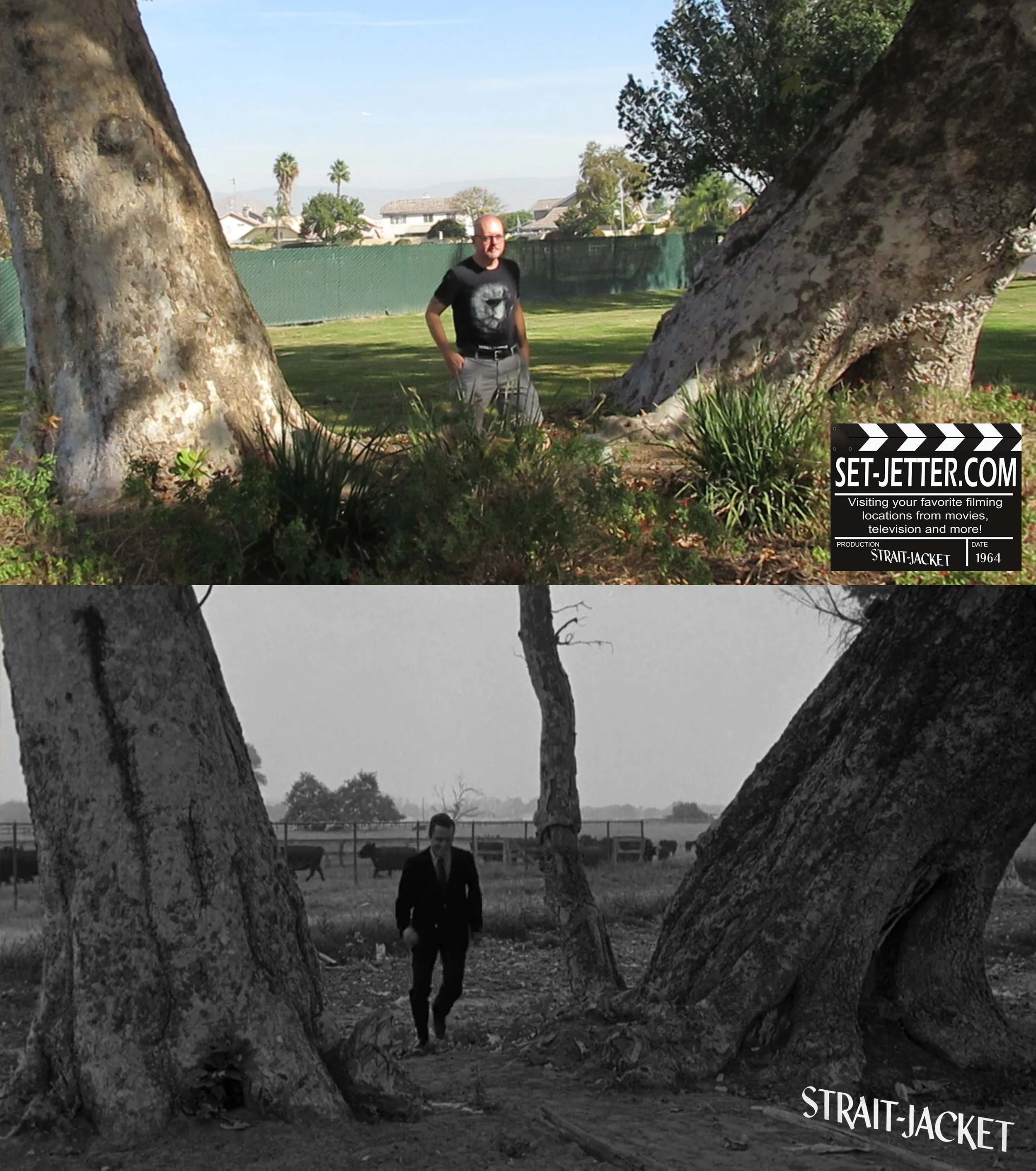 Strait-Jacket (1964) — Set-Jetter