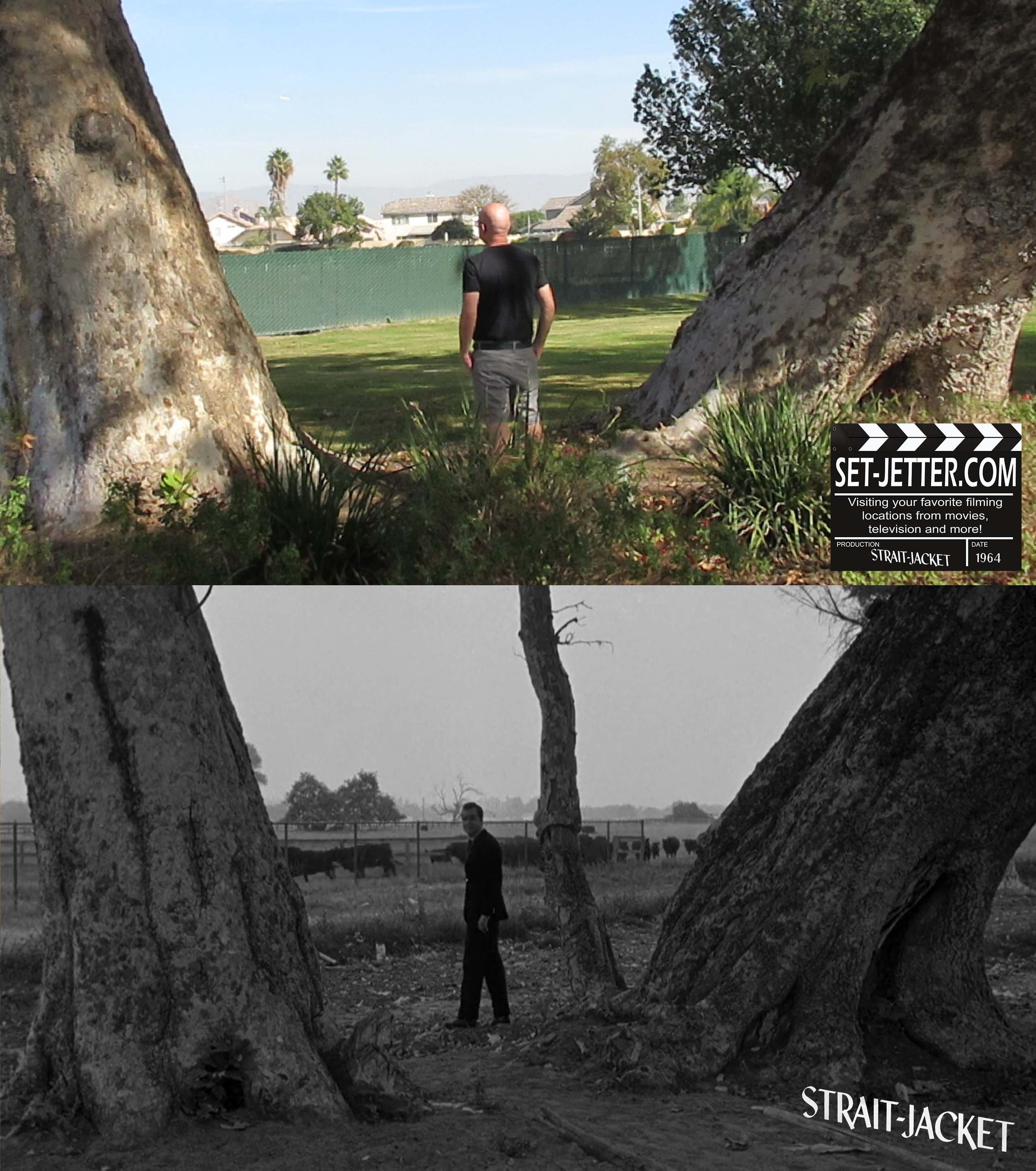 Strait-Jacket (1964) — Set-Jetter