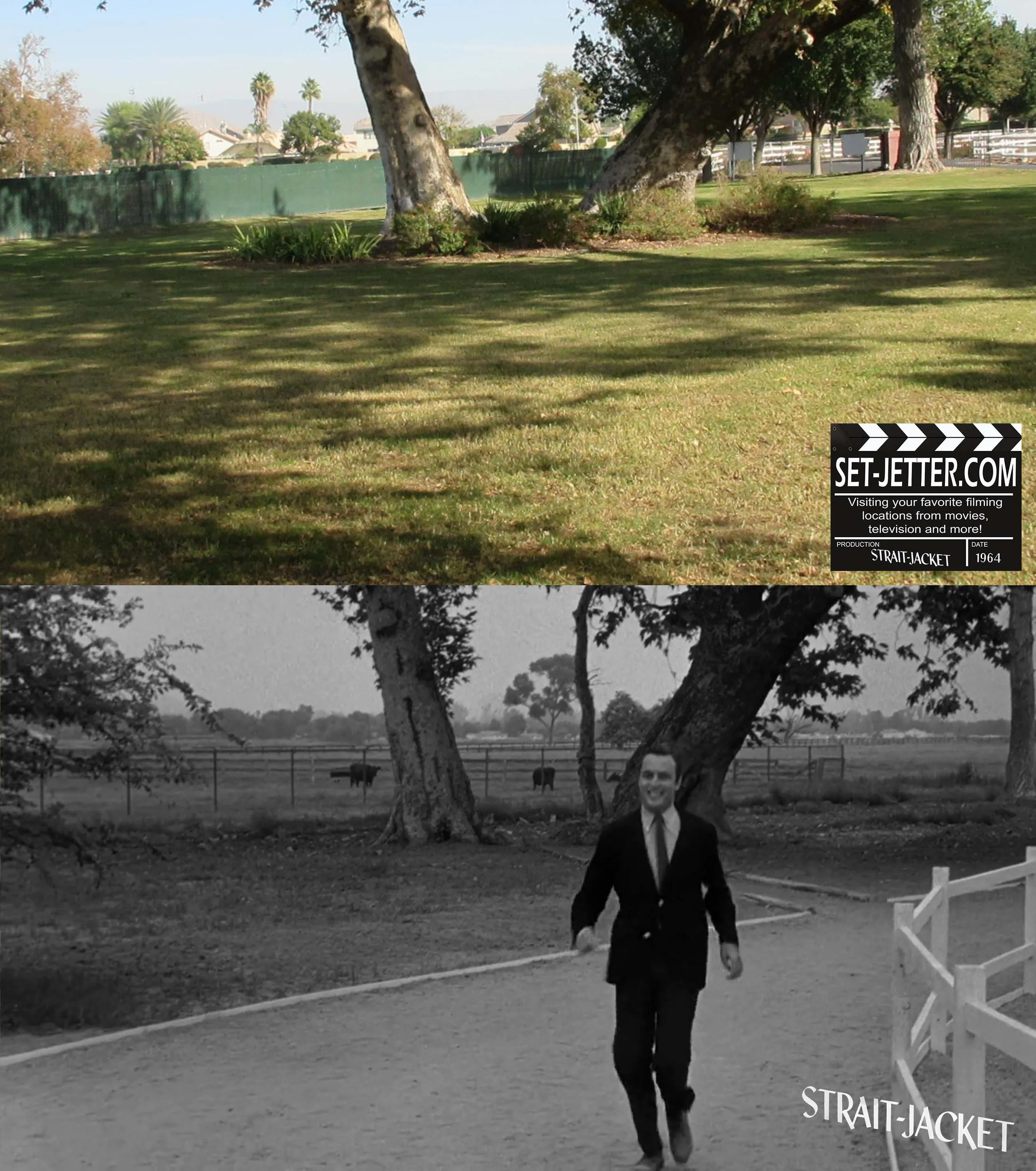 Strait-Jacket (1964) — Set-Jetter