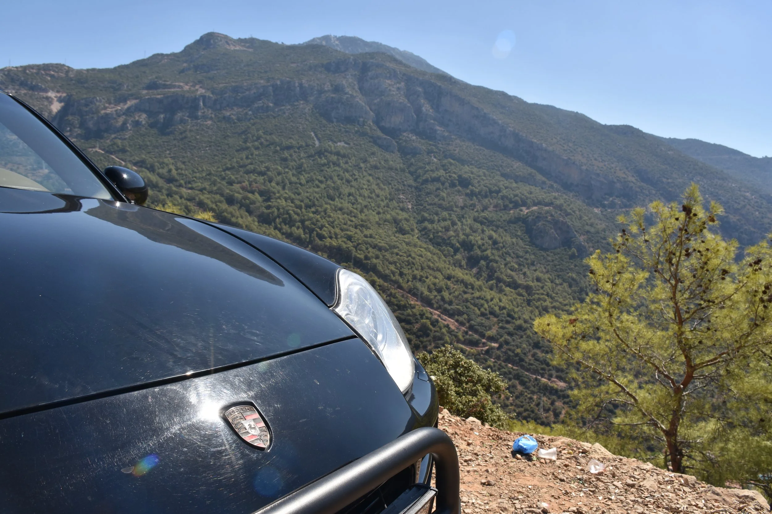 CAYENNE SAFARI (EVERYDAY) — Animal's Excursions