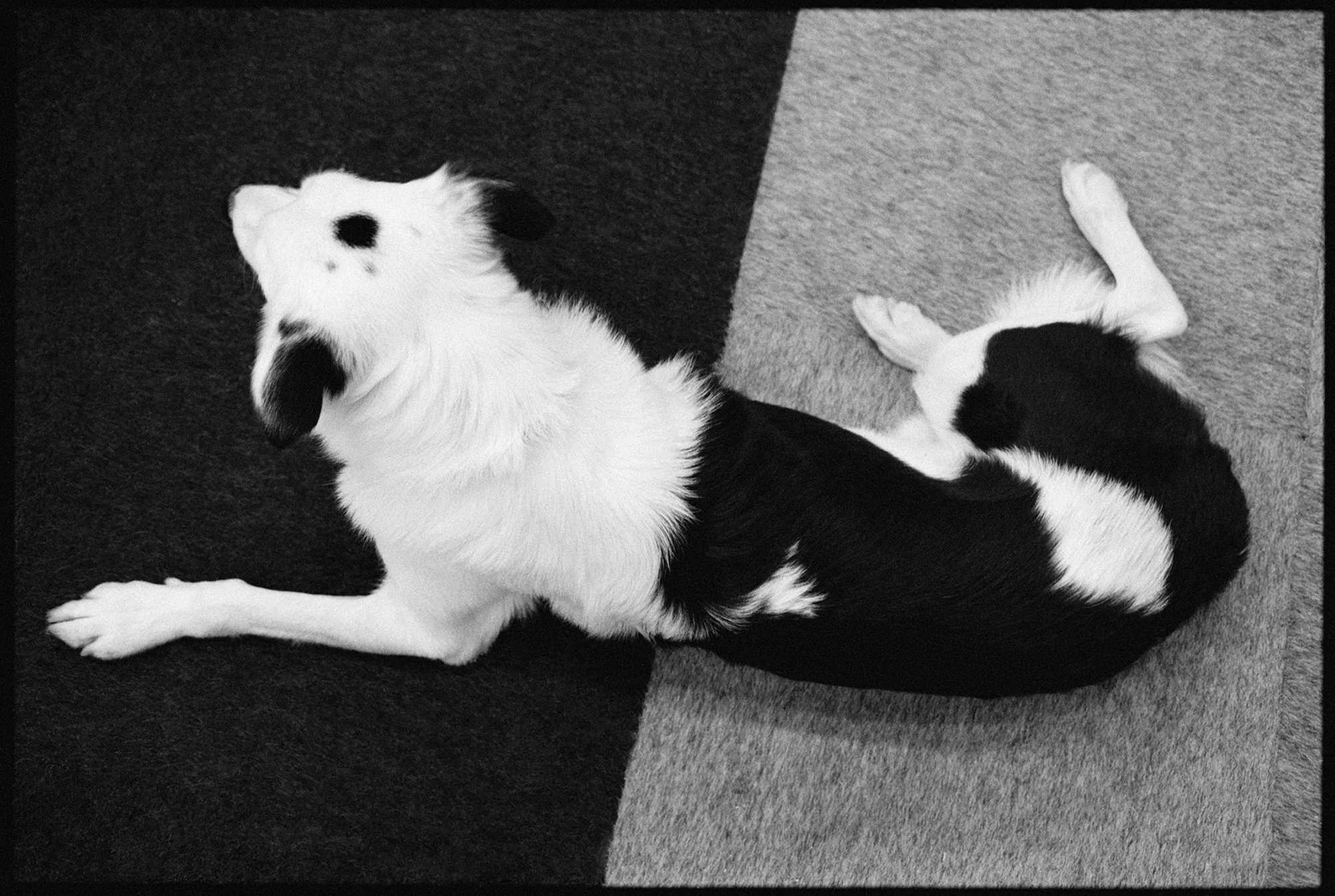 Prints — Matt Stuart